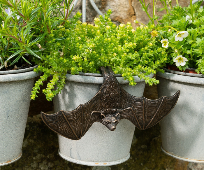Antique Bronze Coloured Open Wing Bat Pot Hanger
