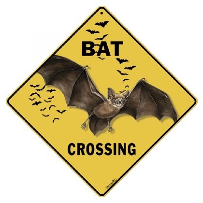 Bat Crossing Sign