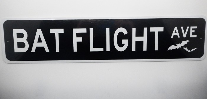 Bat Flight Avenue Sign