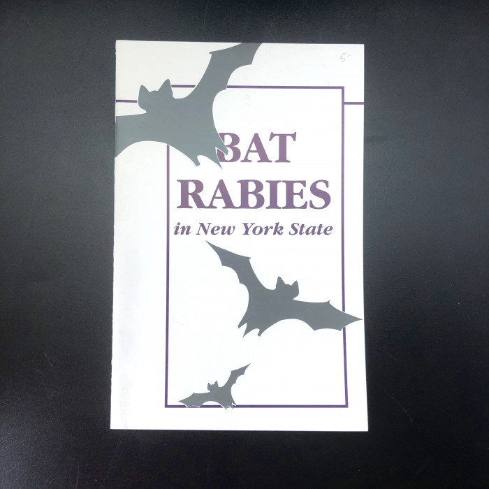 Bat Rabies in New York State