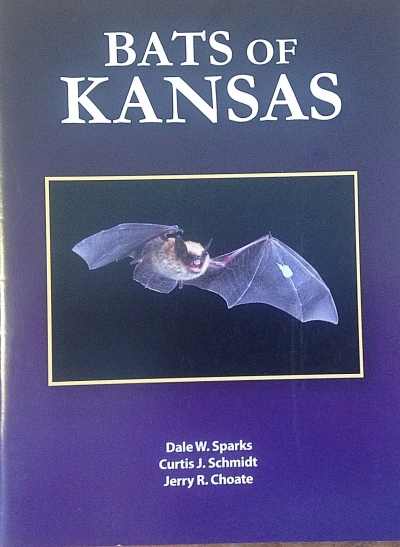 Bats Of Kansas