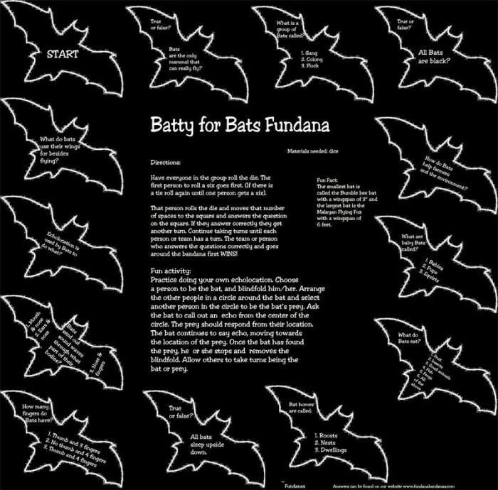 Batty for Bats Scarf