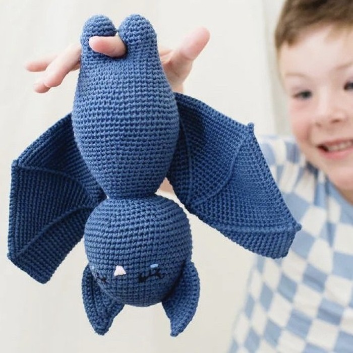 Comet The Sleepover Friend Bat