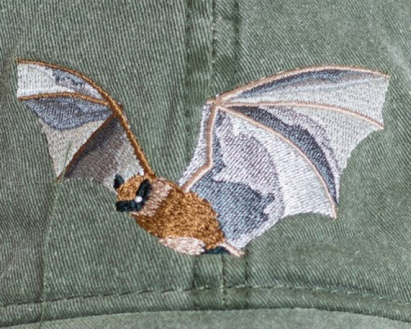 Embroidered Little Brown Bat Cap OUT OF STOCK