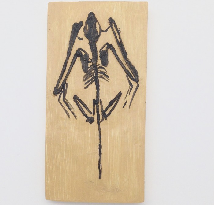 Fossil Bat Skeleton Casting - Icaronycteris index