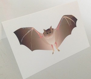 Gift Enclosure Bat Cards