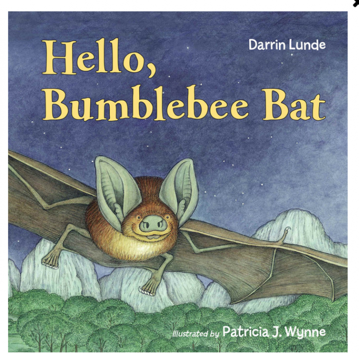 Hello, Bumblebee Bat OUT OF STOCK