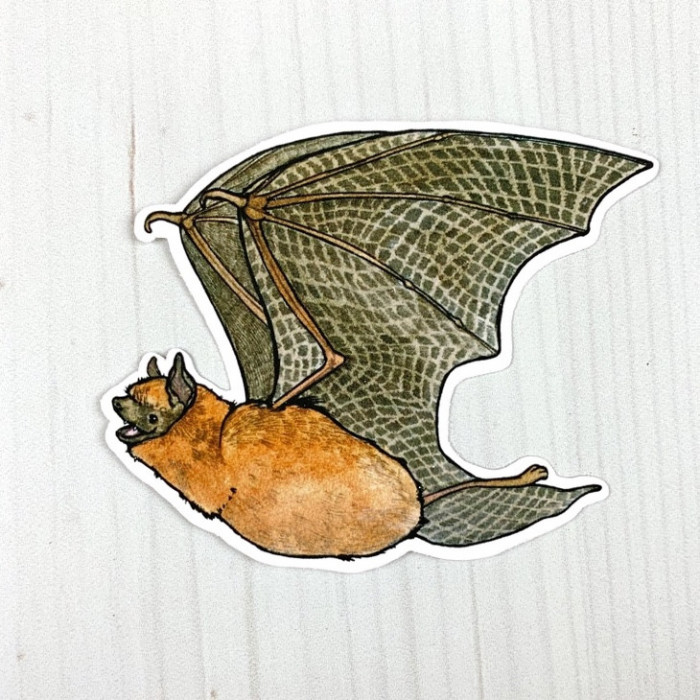 Little Brown Bat Vinyl Sticker
