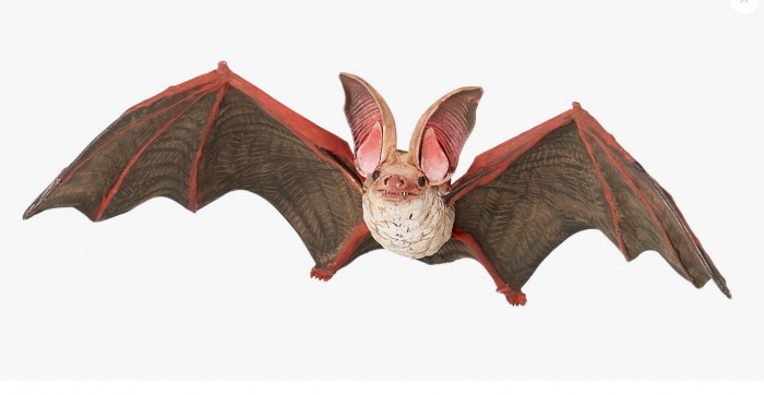 Realistic Bat Figure