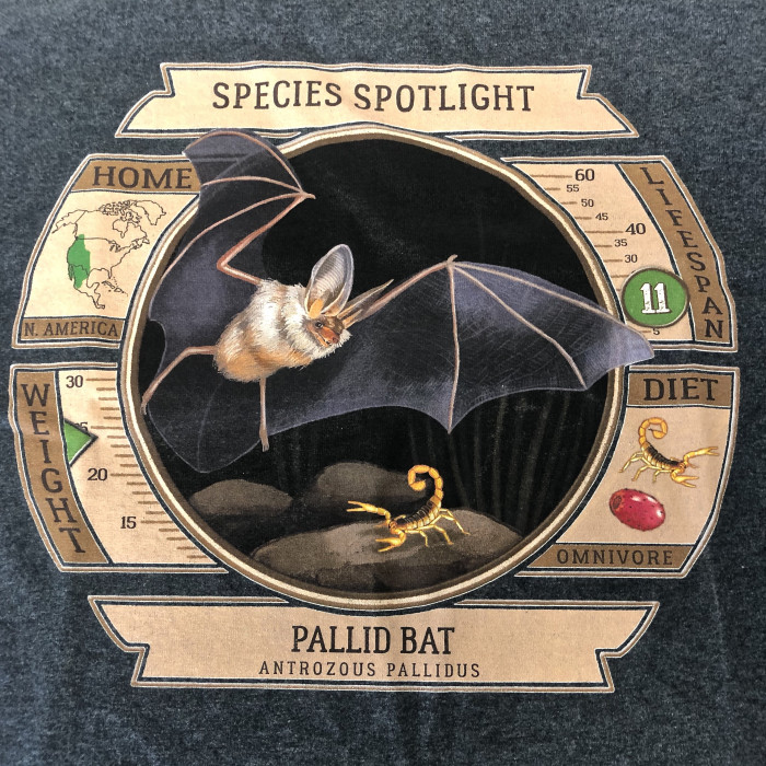 Species Spotlight Tee Shirt - Pallid Bat
