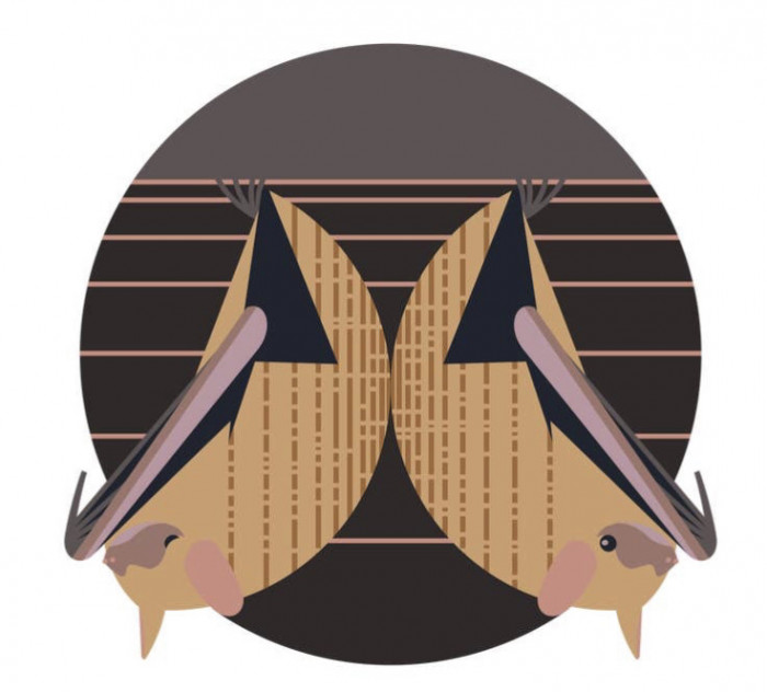 Tricolored Bat Sticker