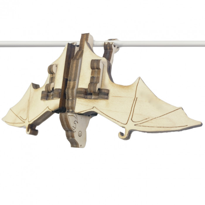 Wooden Bat 3D Fidget Puzzle